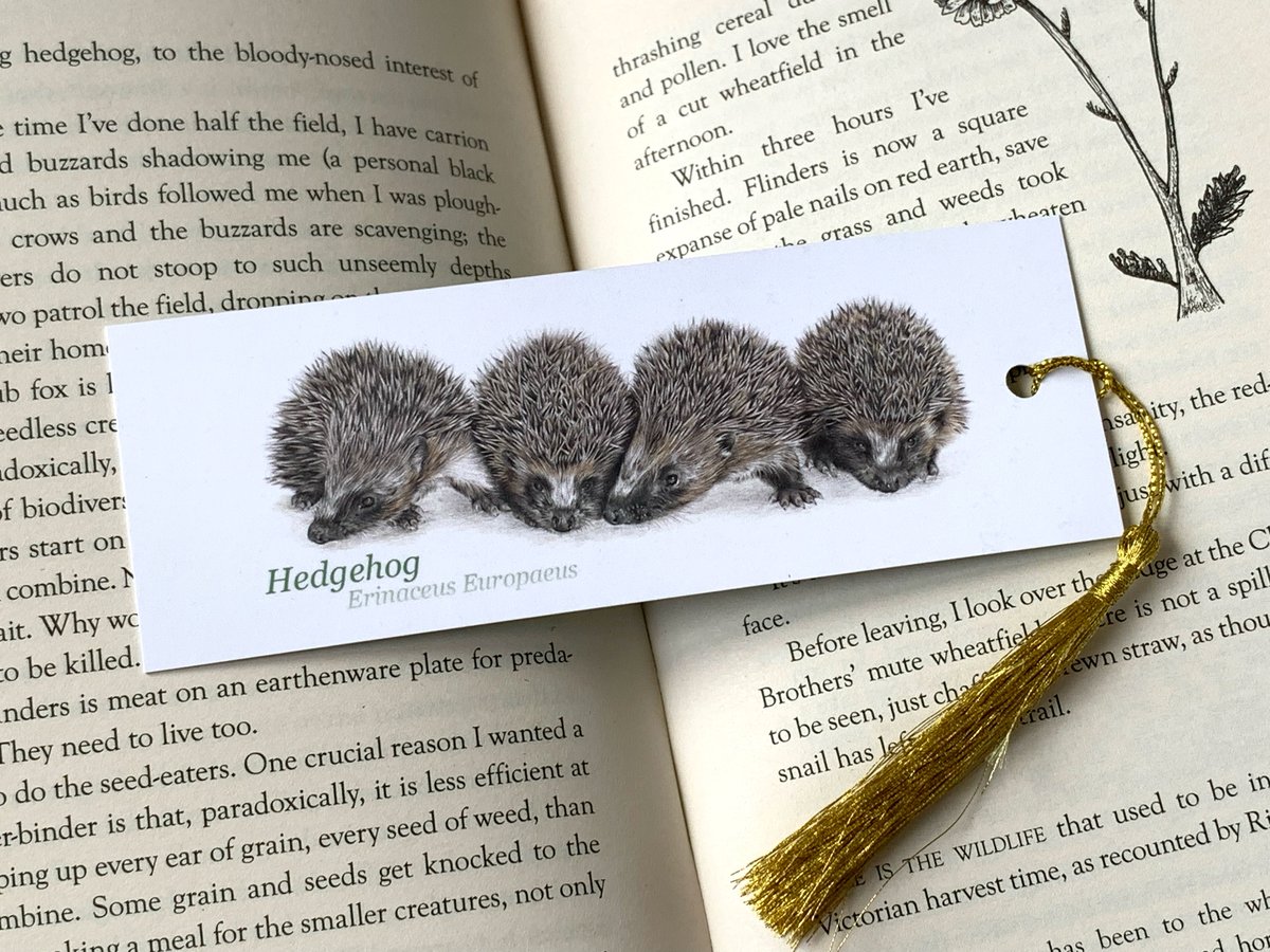 Hoglets Bookmark | Anna Hamilton Art