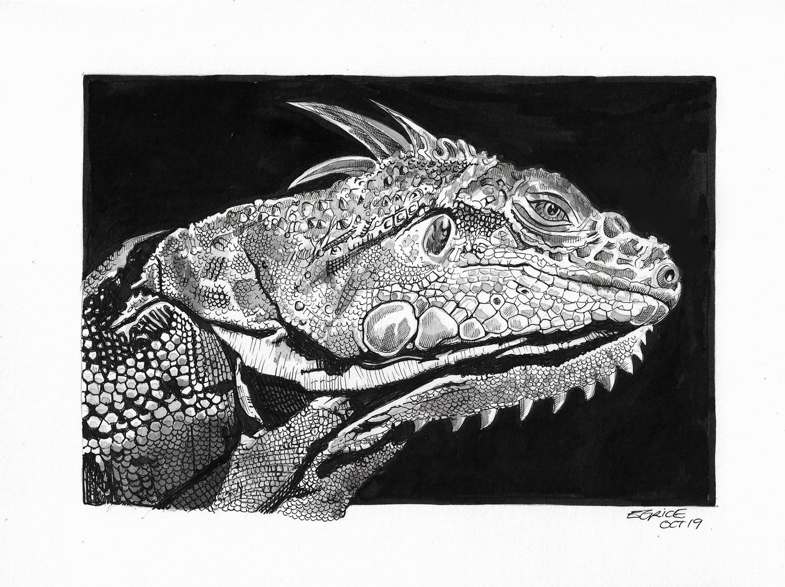 Ink lizard | Visual Artist Emma Grice