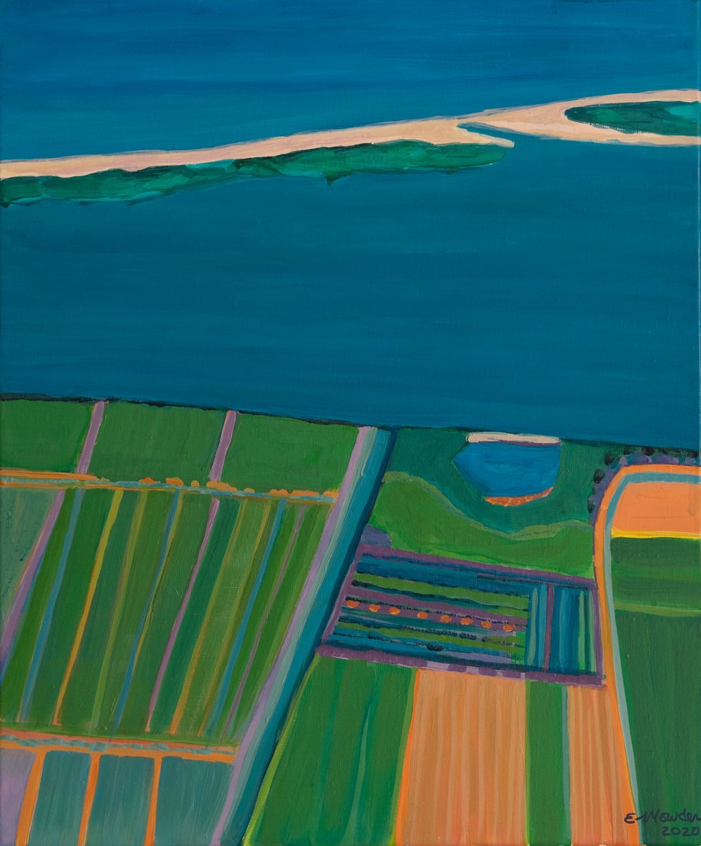 Flyover Landscapes | Evelyn Mowder Paintings