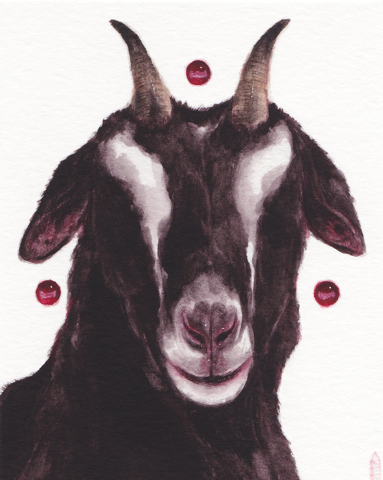 Home | Dusty Ray Paints