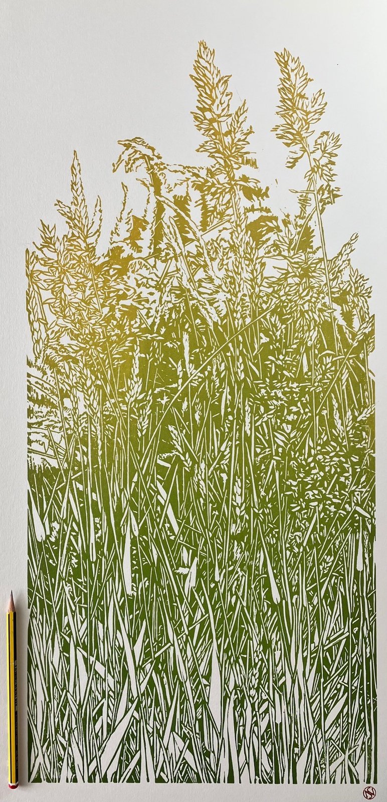 Products | Susan Noble: Artist/Printmaker