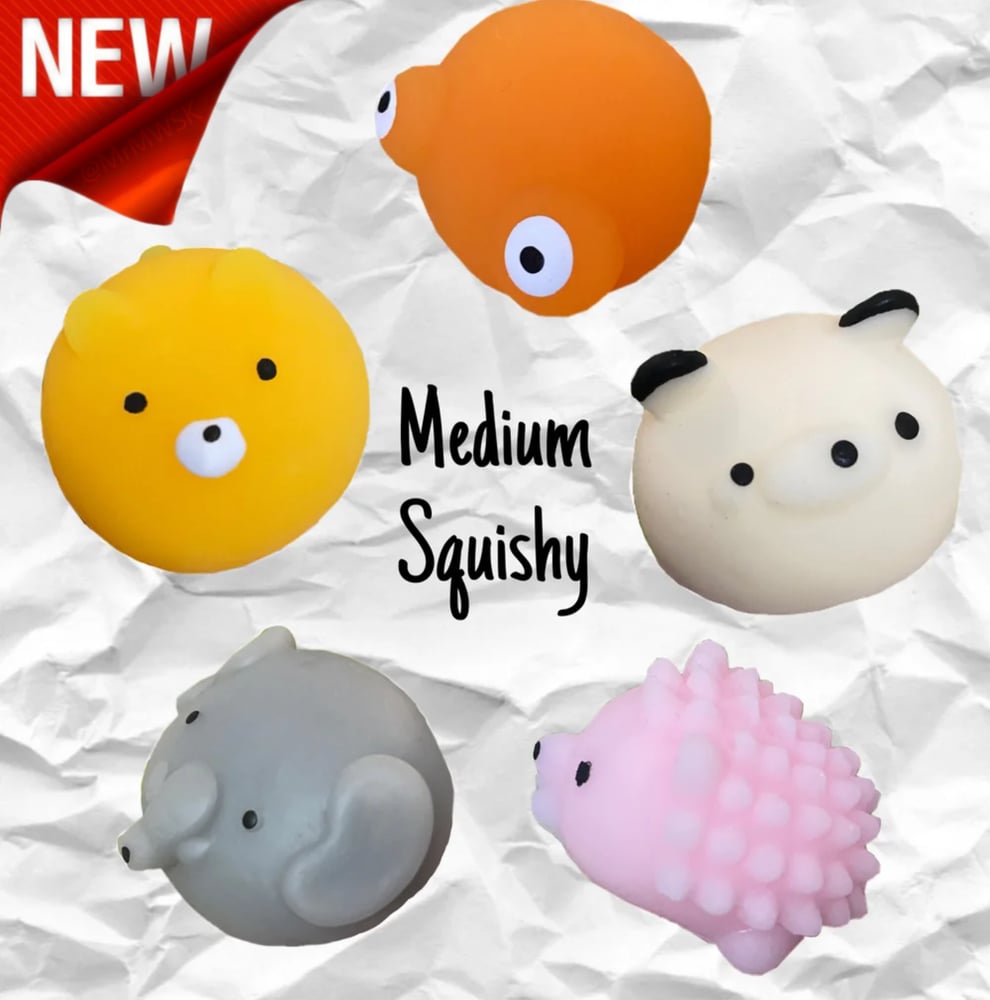 Home | Fun Blind Bag