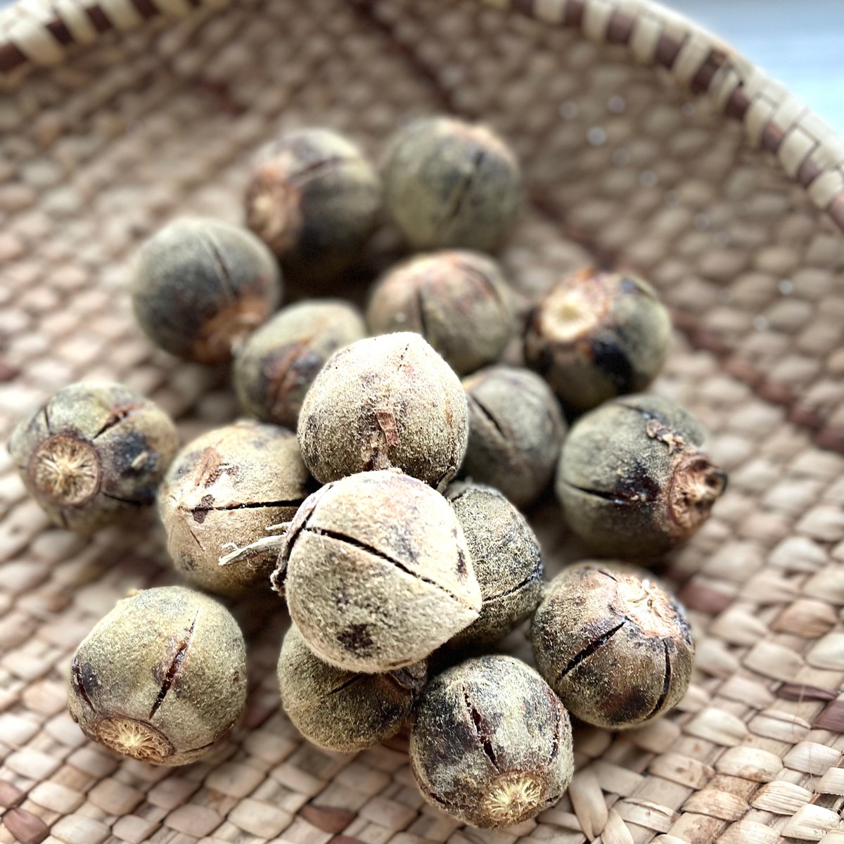 Xakuxaku - African Chewing Gum- Matohwe | Zumbanitea