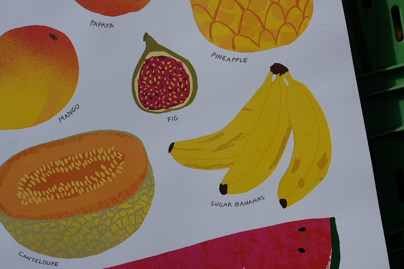 Market Poster: Tropical Fruit | Alice Oehr's Shop