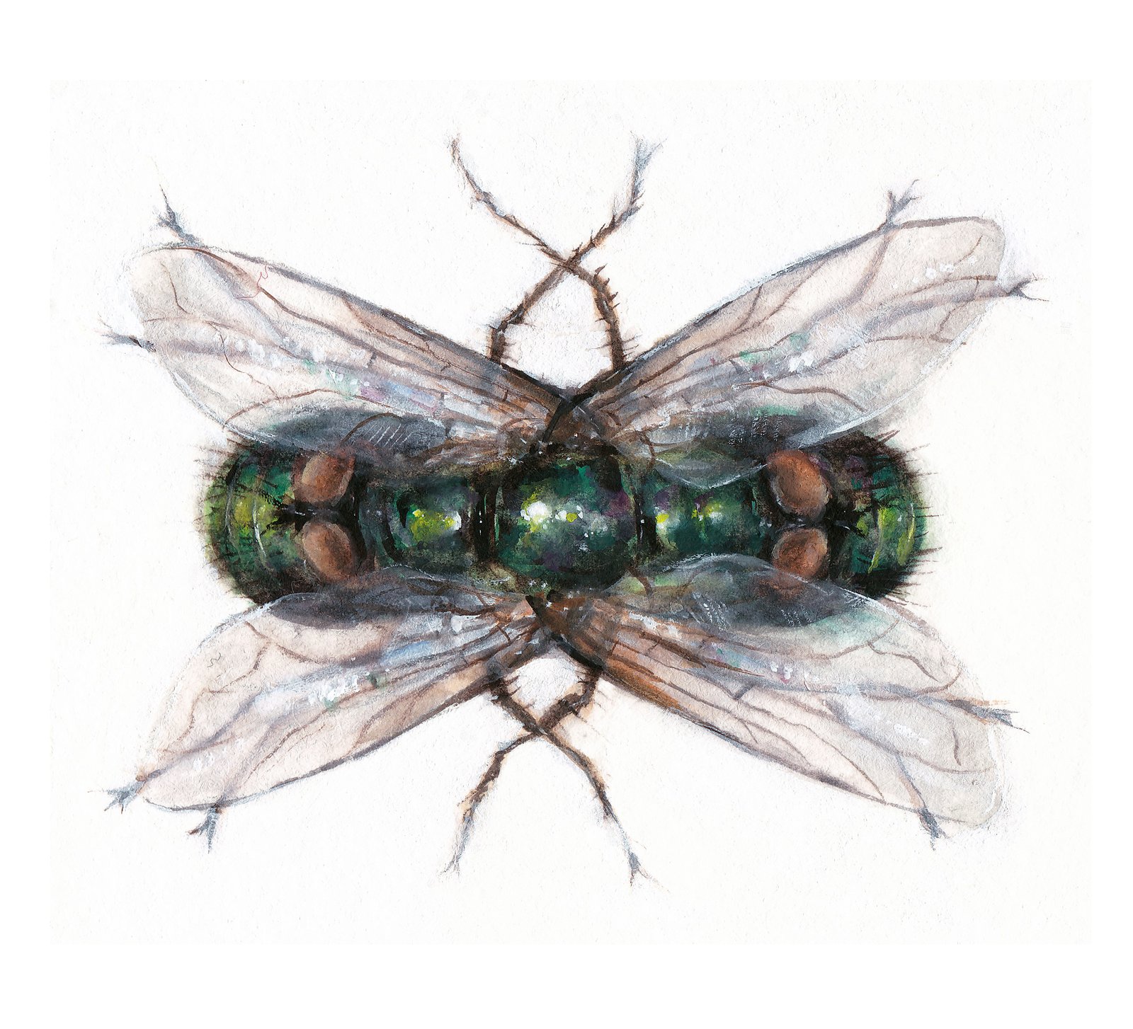 Home | Dusty Ray Paints