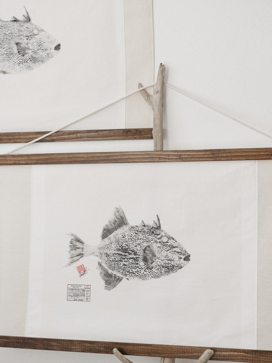 Peixe porco | Trigger fish | Luzalba Shop