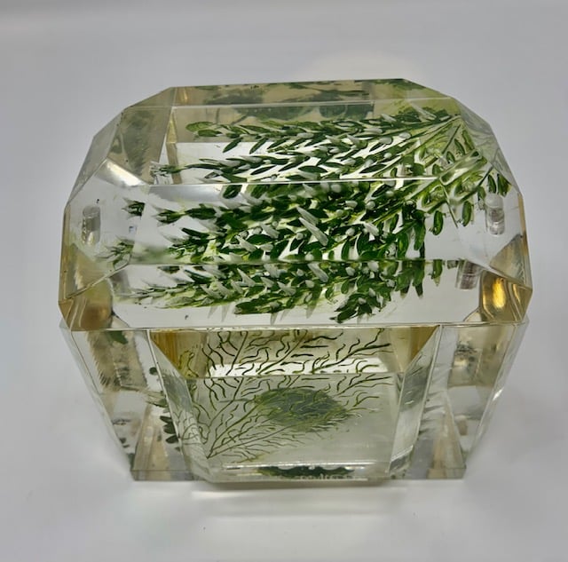 Painted Mini Victorian Box- Herbs (Back in stock) | BLUE TREE