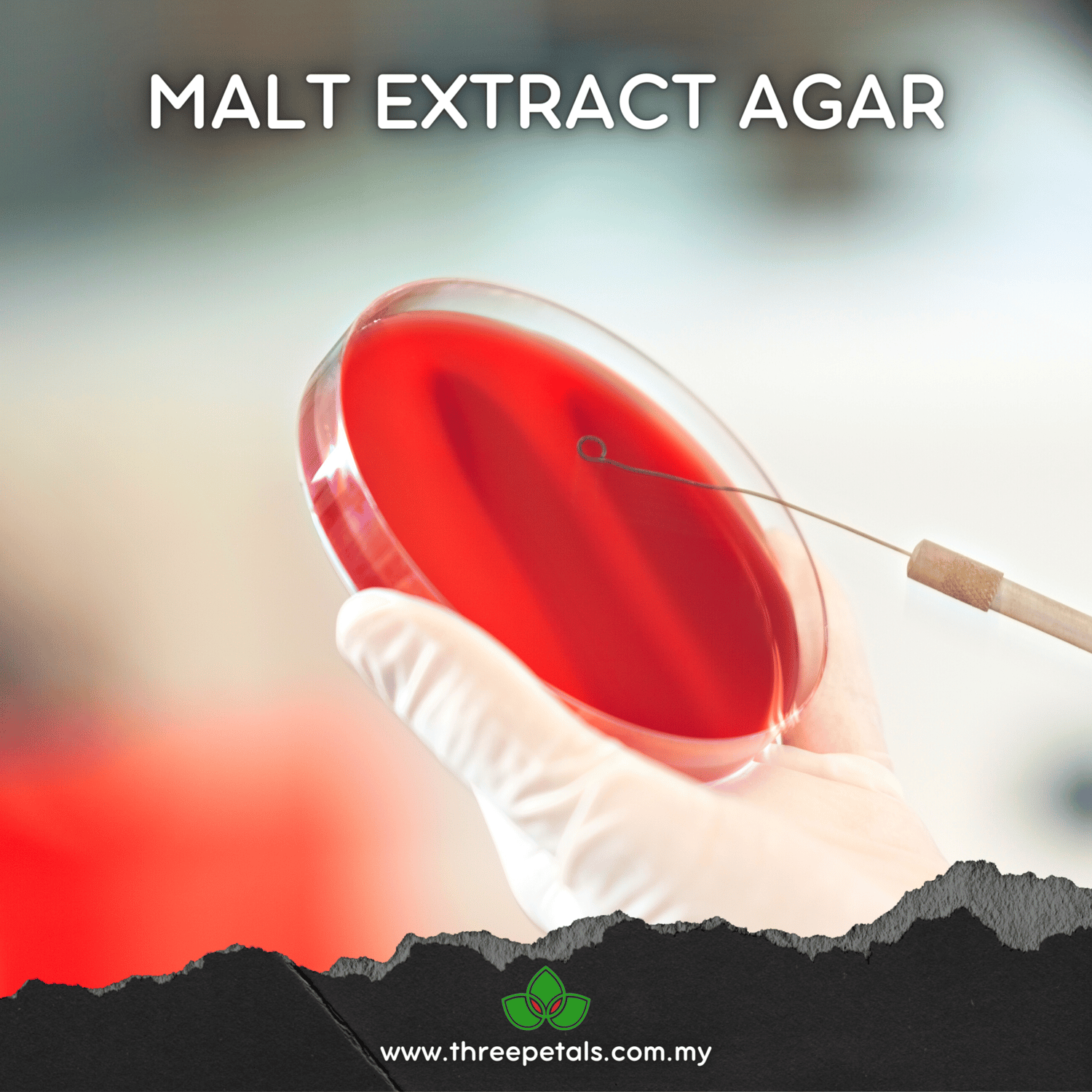 Sterile Pre-Poured Malt Extract Agar Plate For Mycology - Individually ...