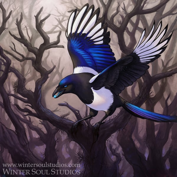 One for Sorrow - Art Print / Winter Soul Studios