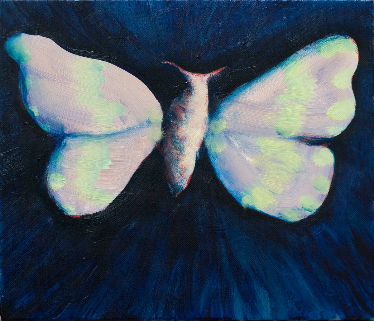 Pink and yellow moth | Mick Turner Art Store