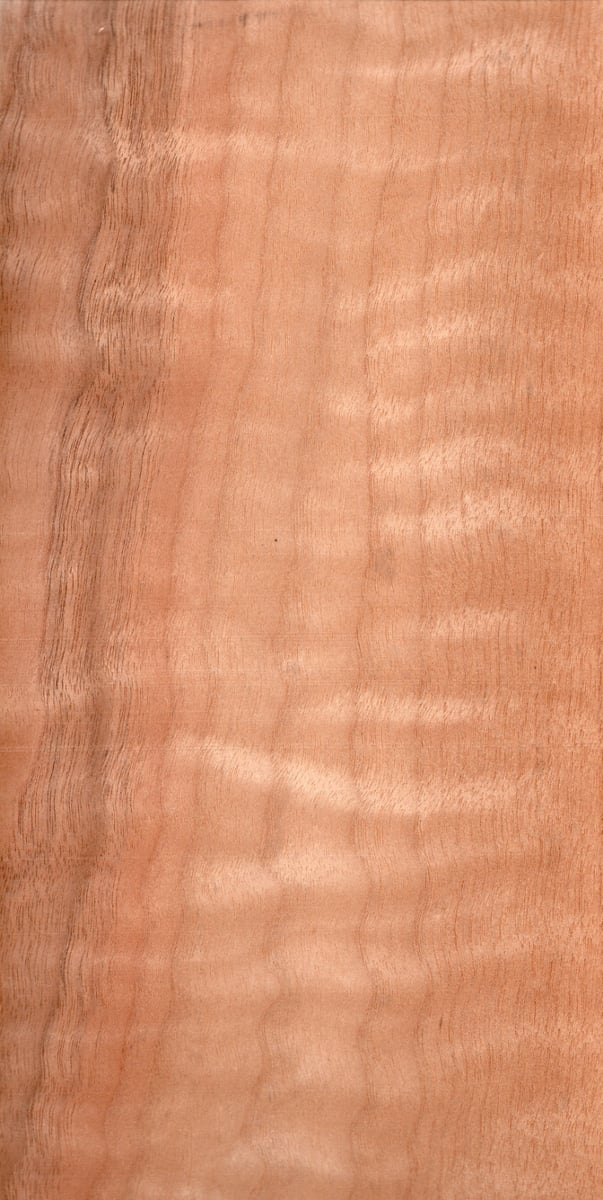 Walnut (Sappy) (101) | Suffolk Wood Veneers