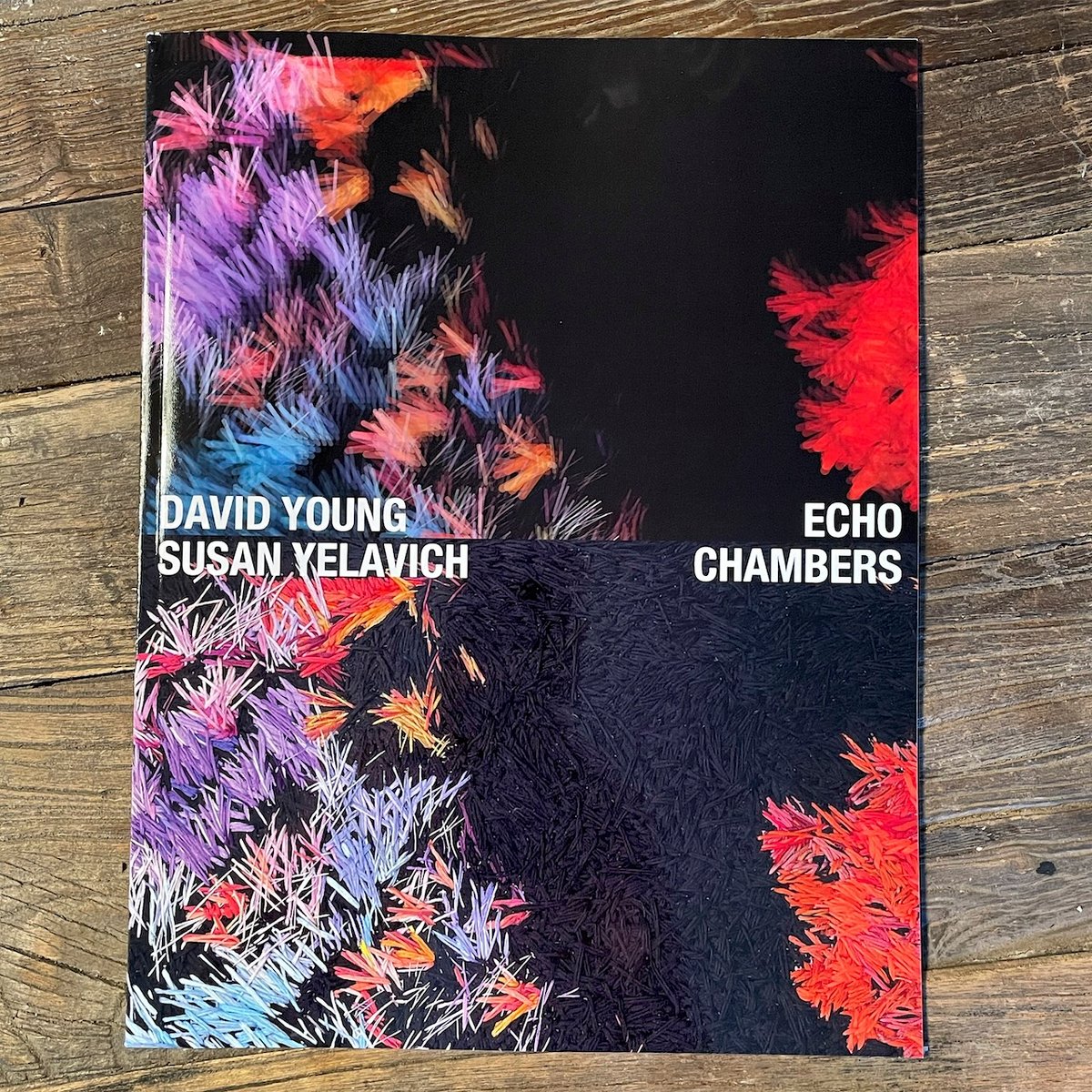 Echo Chambers | David Young