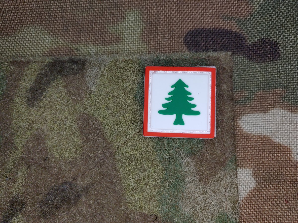 Pine Tree Ranger Eye V2 | Pine Tree Patches