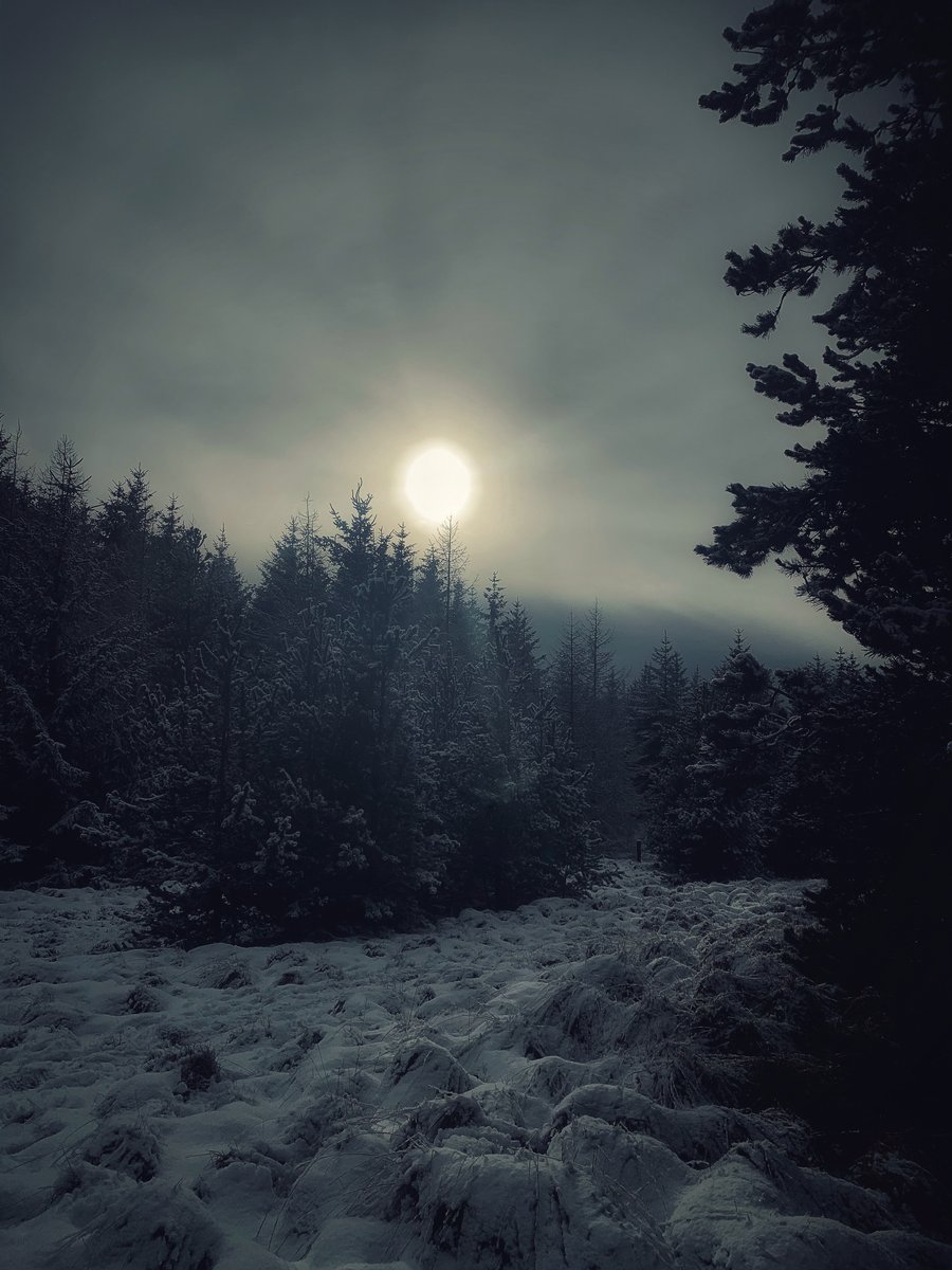 Wintertide I - Photographic Print A4 size | DARKHER