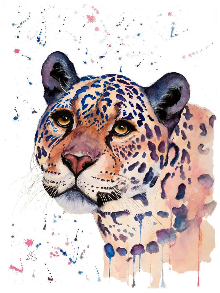 Jaguar - WWF Wildlife Collection | Elizabeth Grant Art