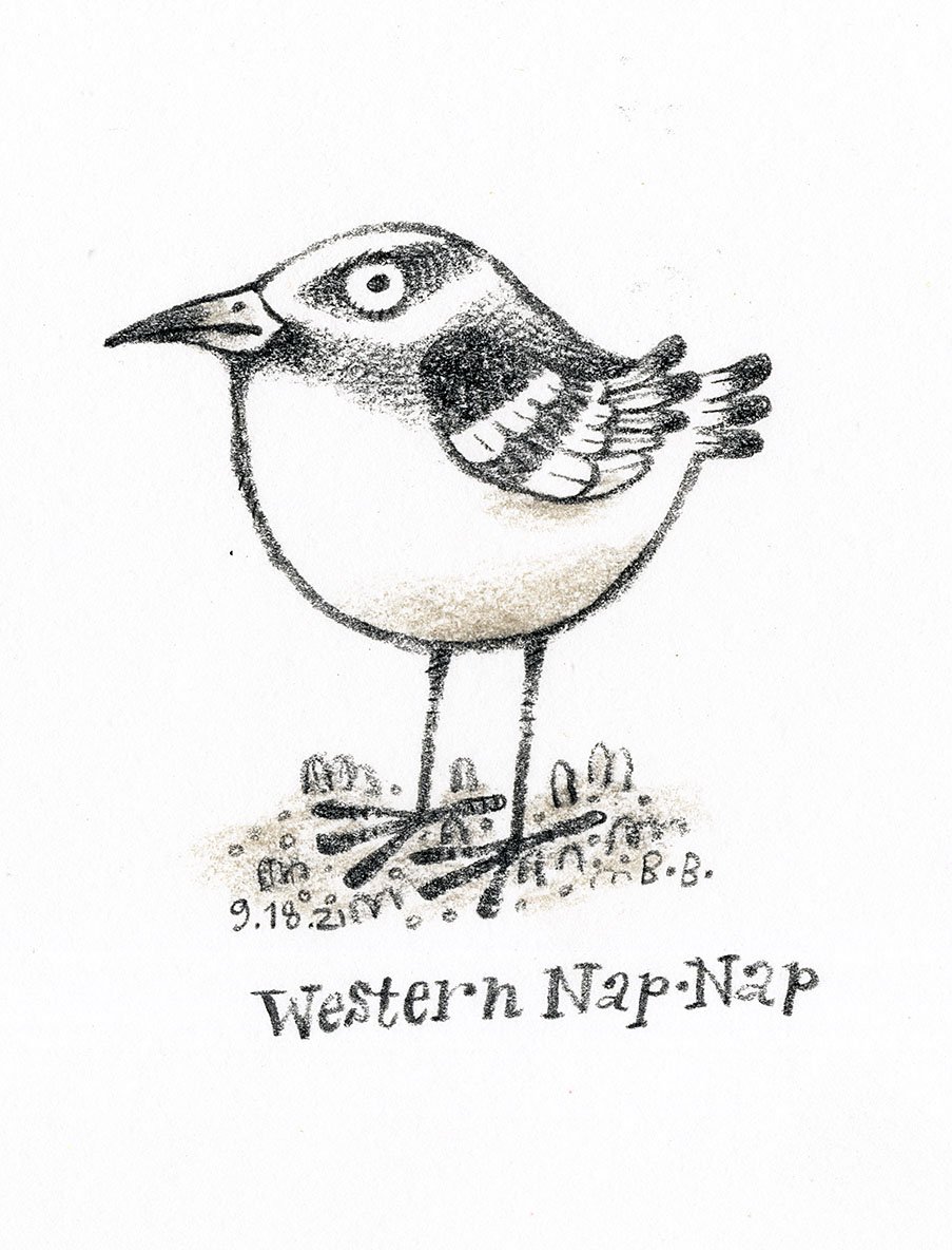 Western Nap Nap: original pencil drawing | Brian Biggs Studio