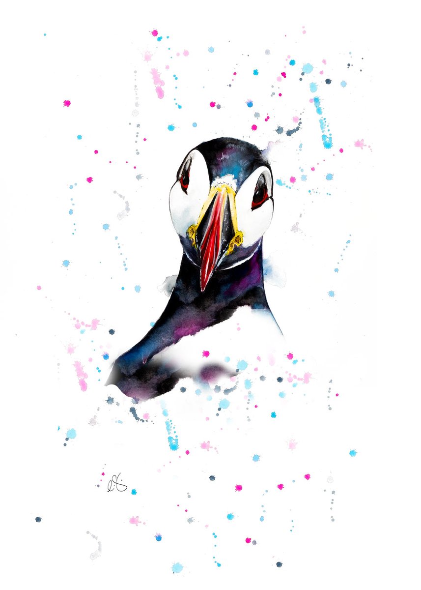 Puffin - WWF Wildlife Collection | Elizabeth Grant Art