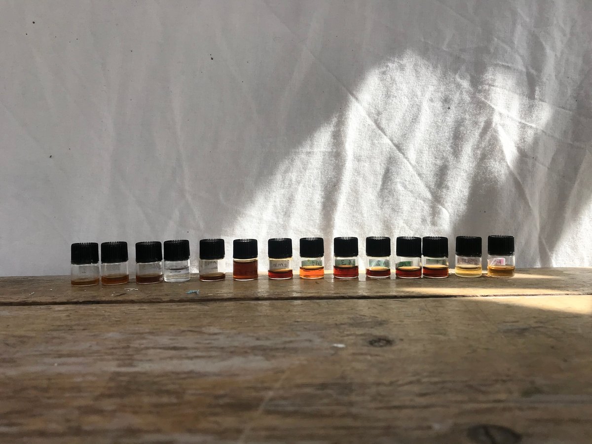 Custom Scent | STINCS