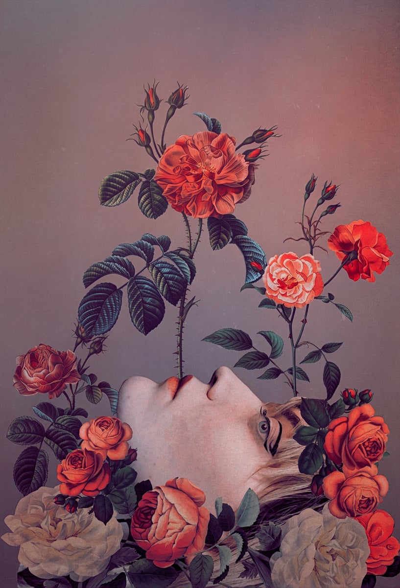From the Roses | Sarah Jarrett Art