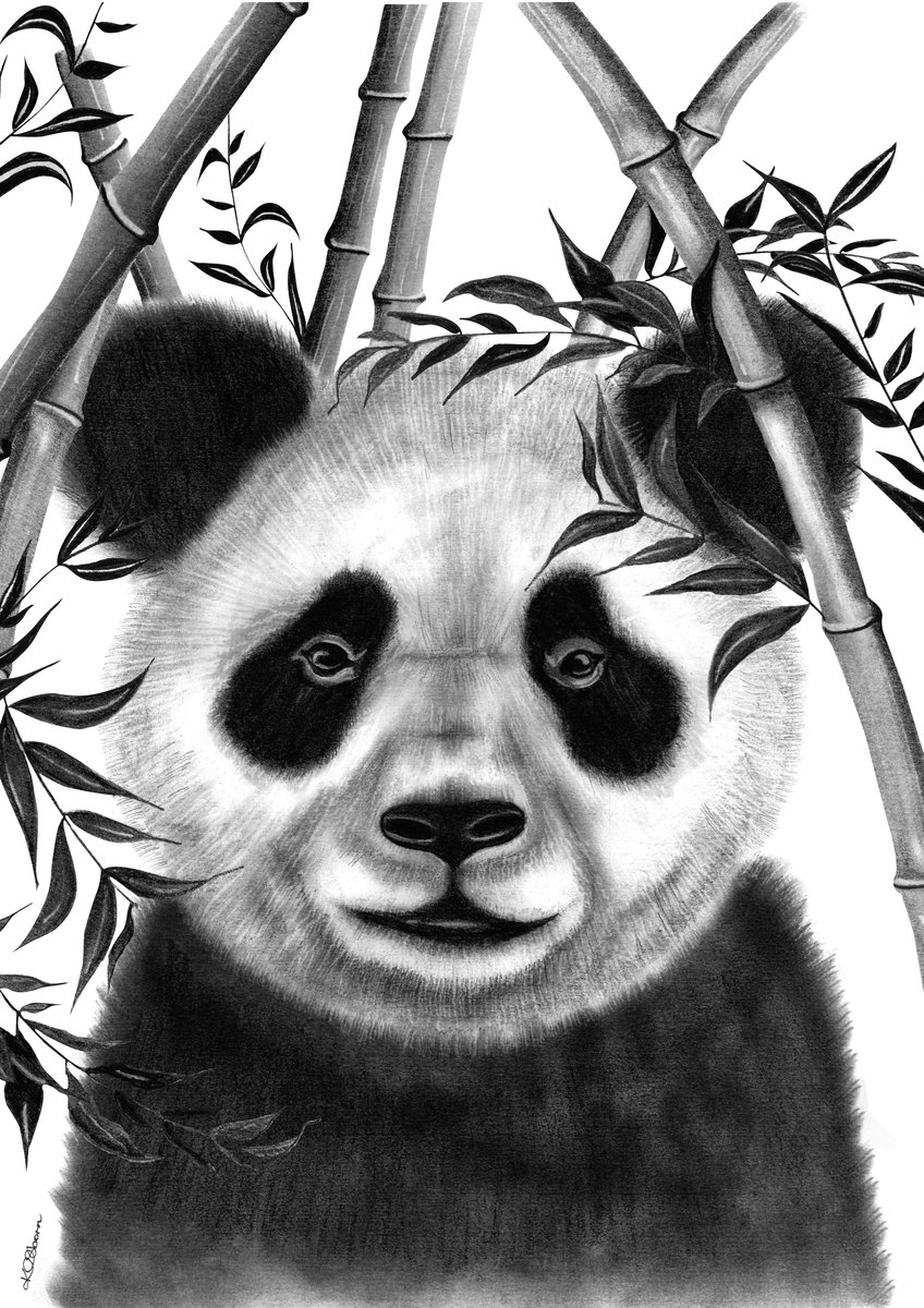 Panda | Kim Osborn Artistry