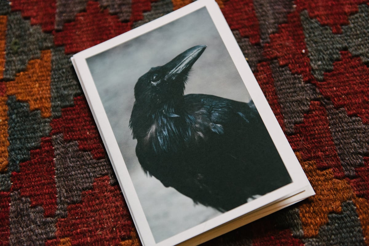 raven greeting card | Black Branches