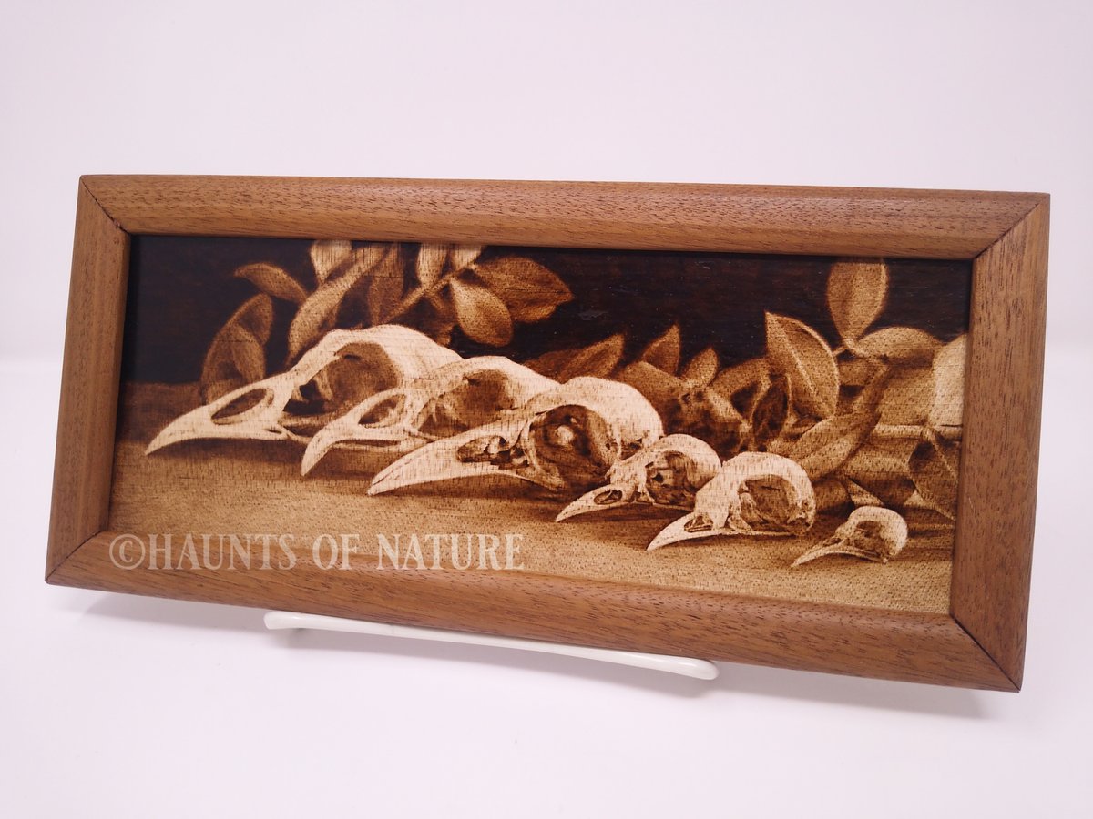 Wood Burned Bird Skull Lineup | HauntsofNature