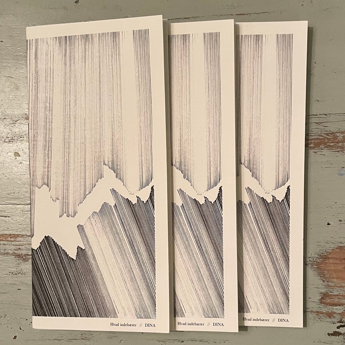 Hvad indebærer | Forlaget Korridor