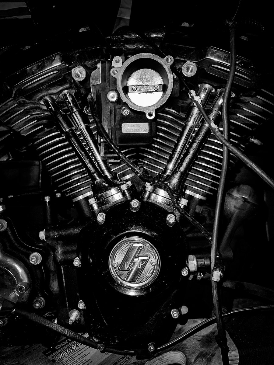 M8 Bolt Timing cover RAW | RideFasterPussy
