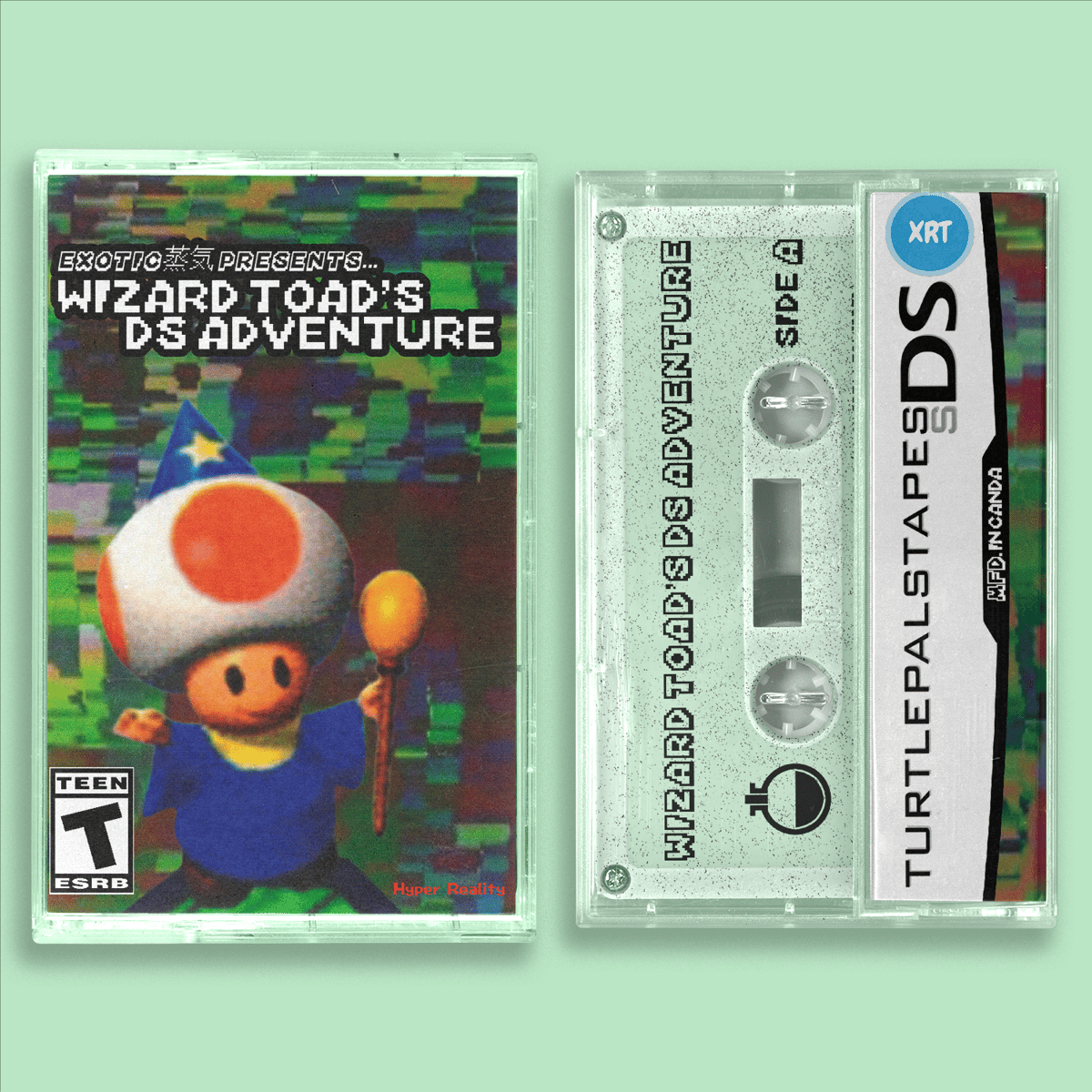 Wizard Toad's DS Adventure Cassette Tape | Turtle Pals Tapes