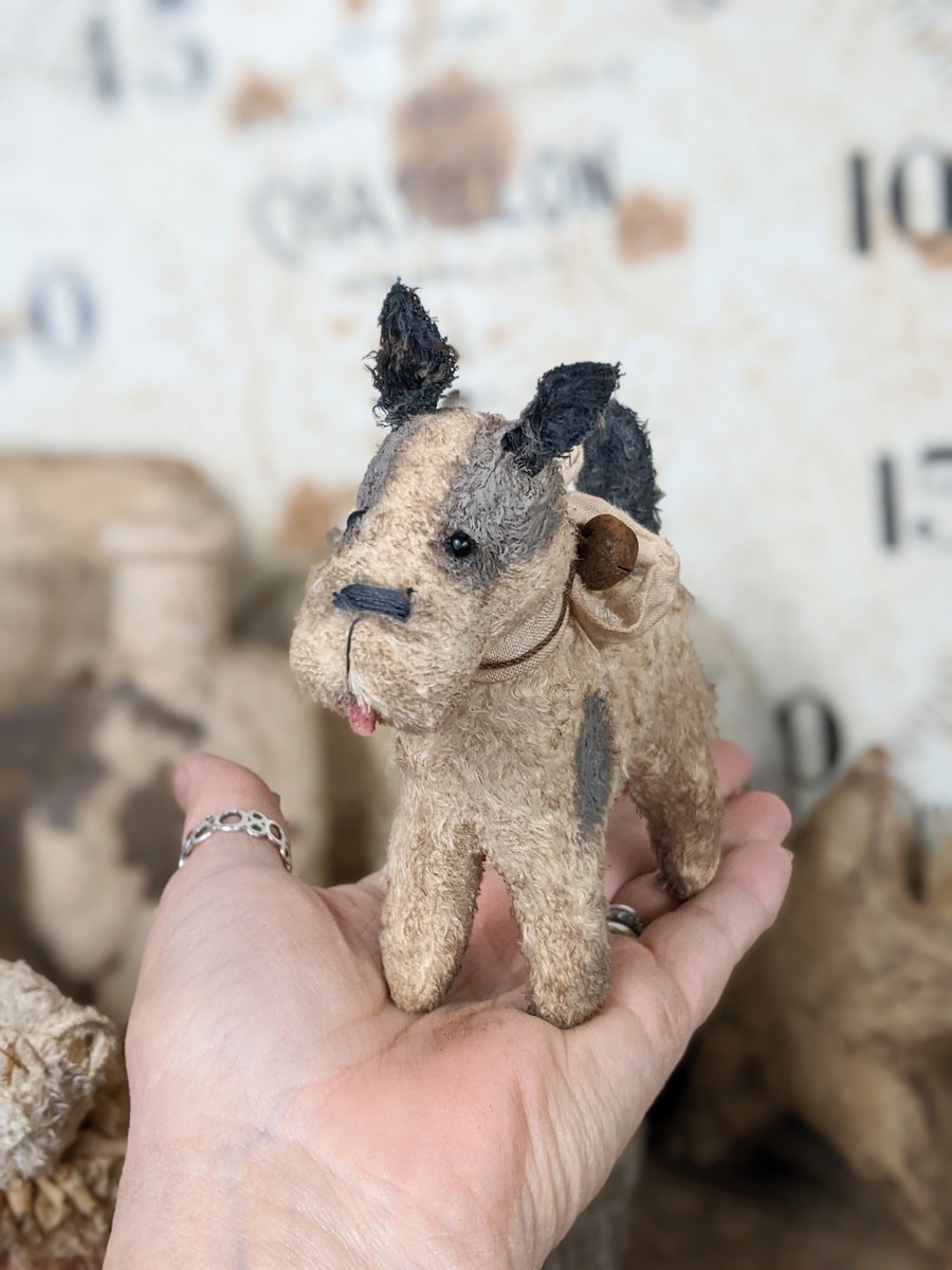 NEW DESIGN - Fripon Fox Terrier DOG- vintage Style bru jumeau bleuette ...