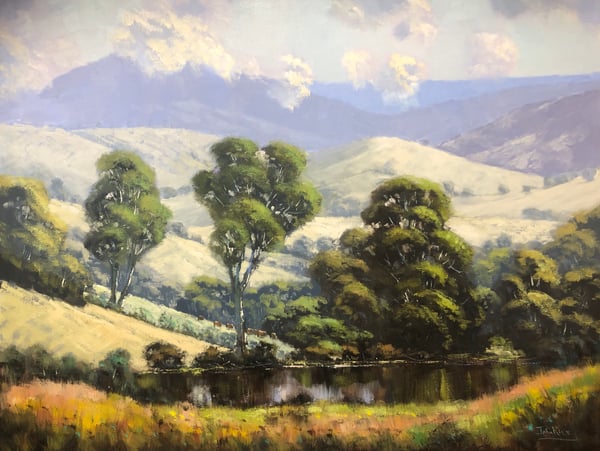 Home | John Rice Gallery