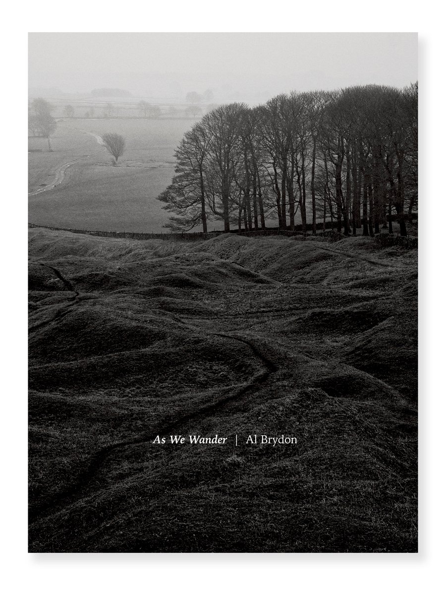 Al Brydon - As We Wander (Second Edition) | another place press