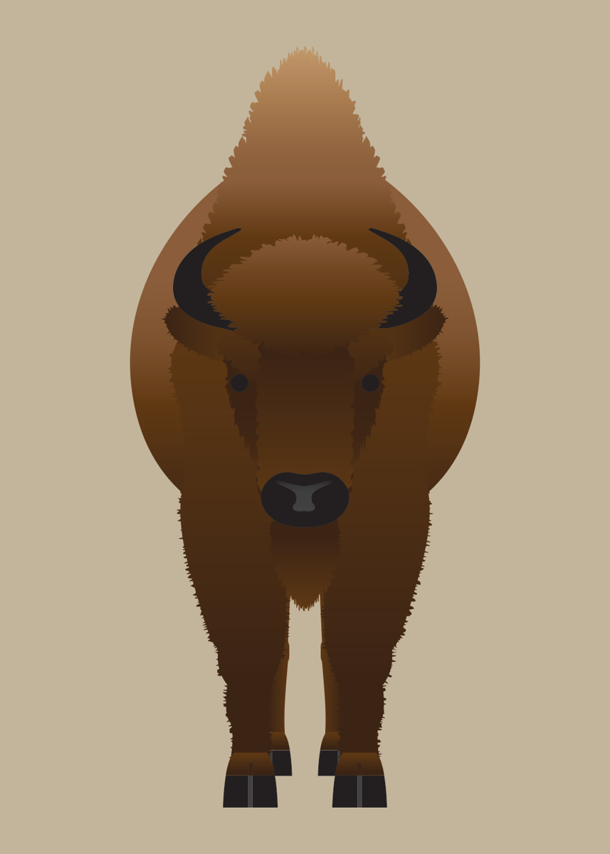 Bison Collection | marcartshop