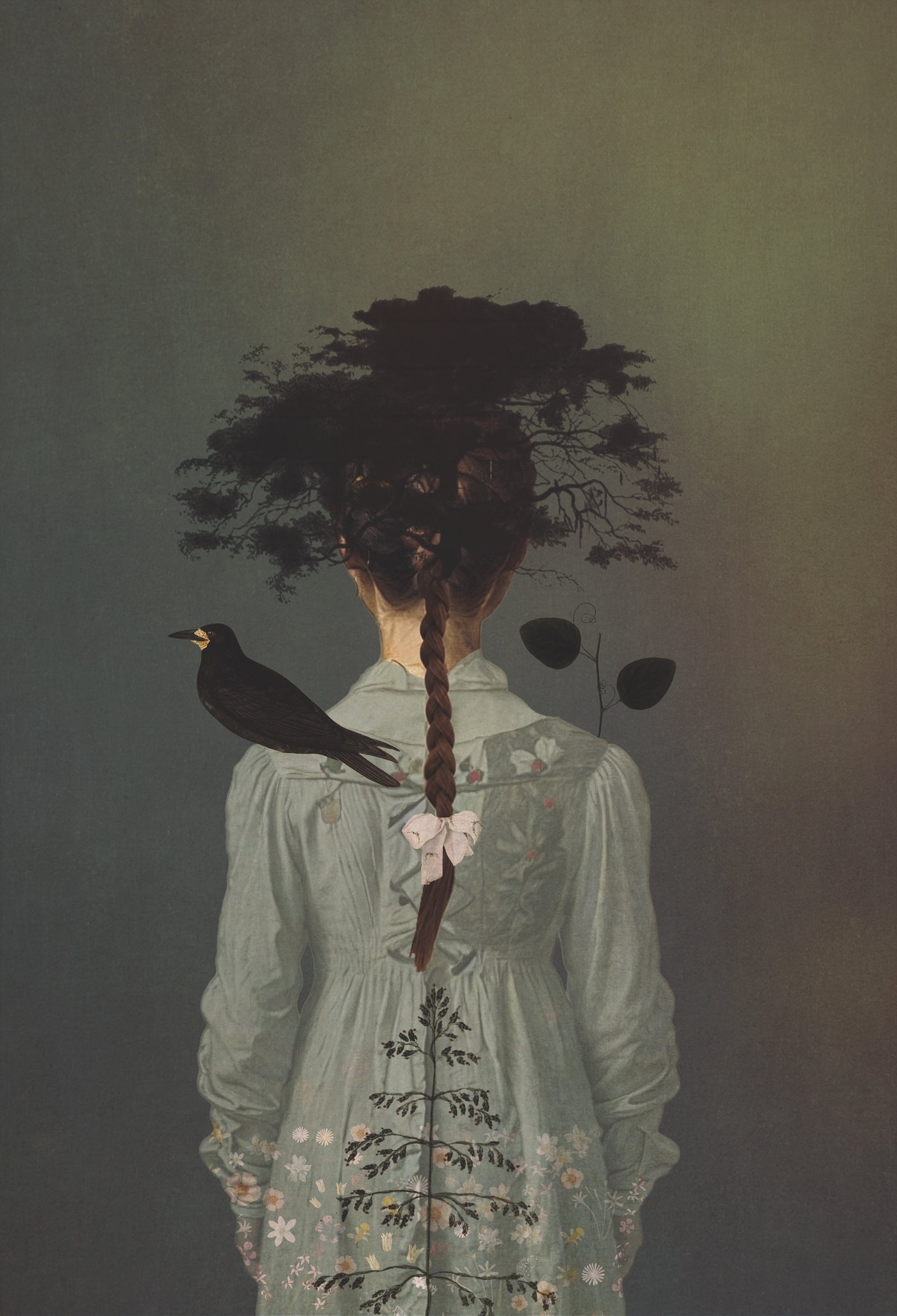 Sapling | Sarah Jarrett Art