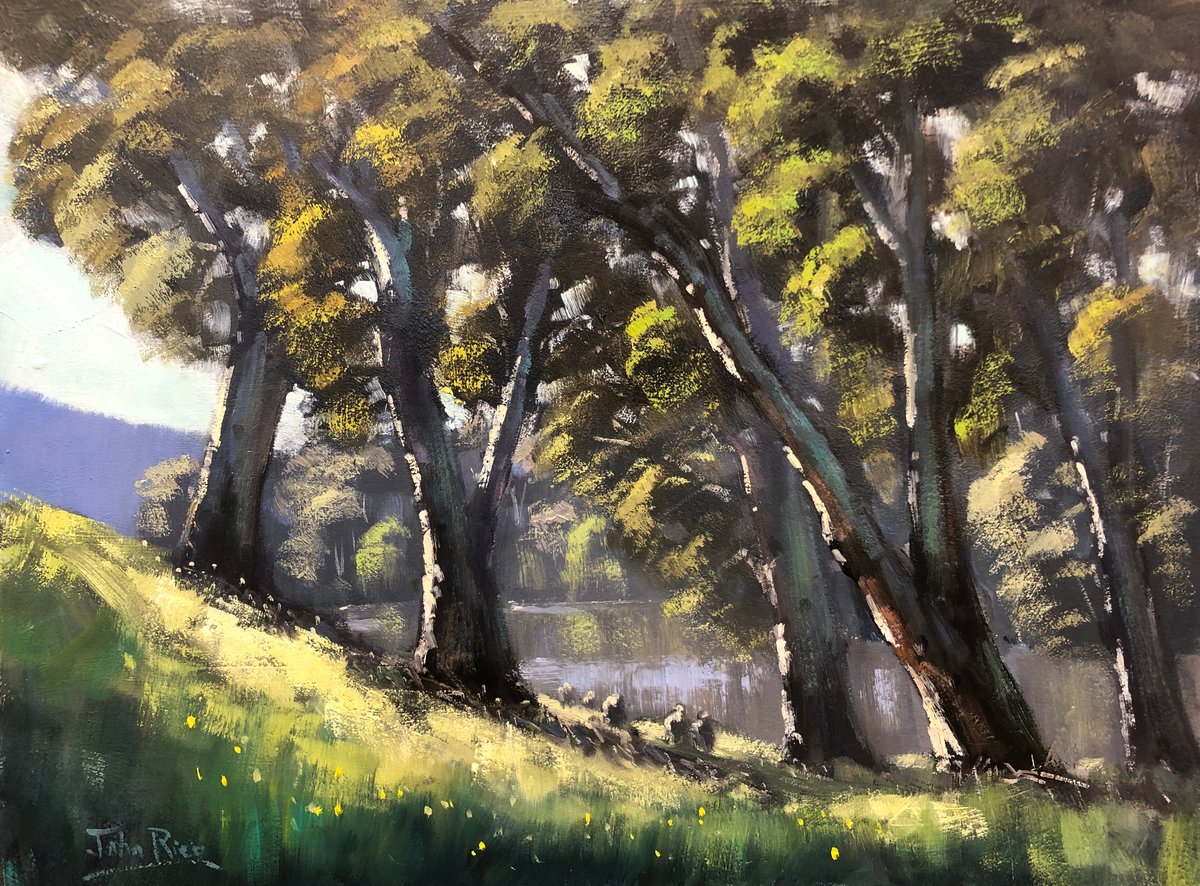 Along The Cudgegong | John Rice Gallery