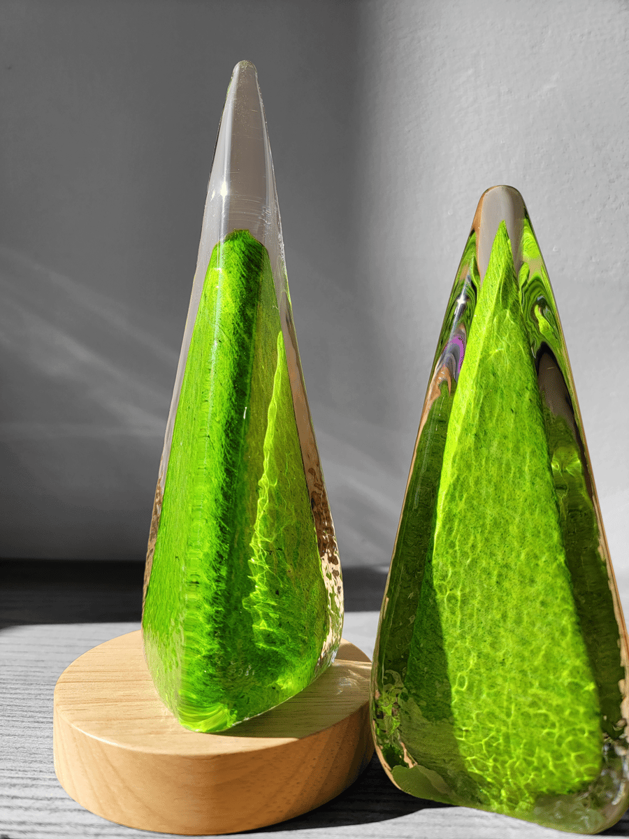 Forevergreen tree light | Gather Glass