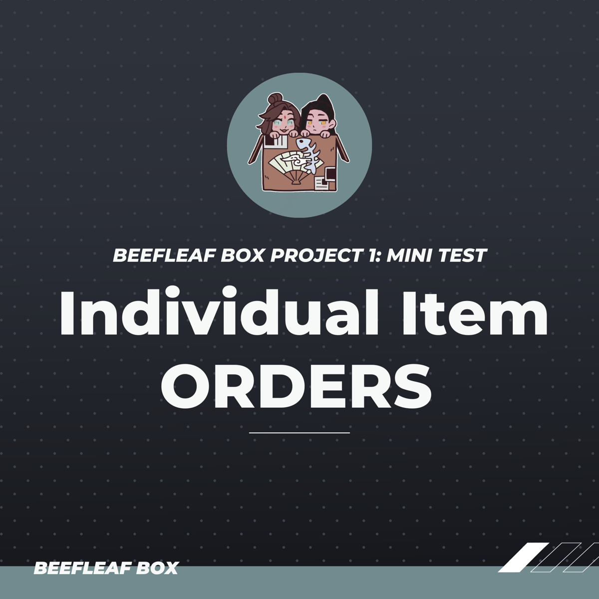 Beefleaf Box Project 1: Mini Test (Individual Items Only) | 99pains