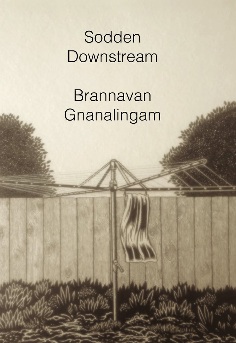 Sodden Downstream, by Brannavan Gnanalingam | Lawrence & Gibson