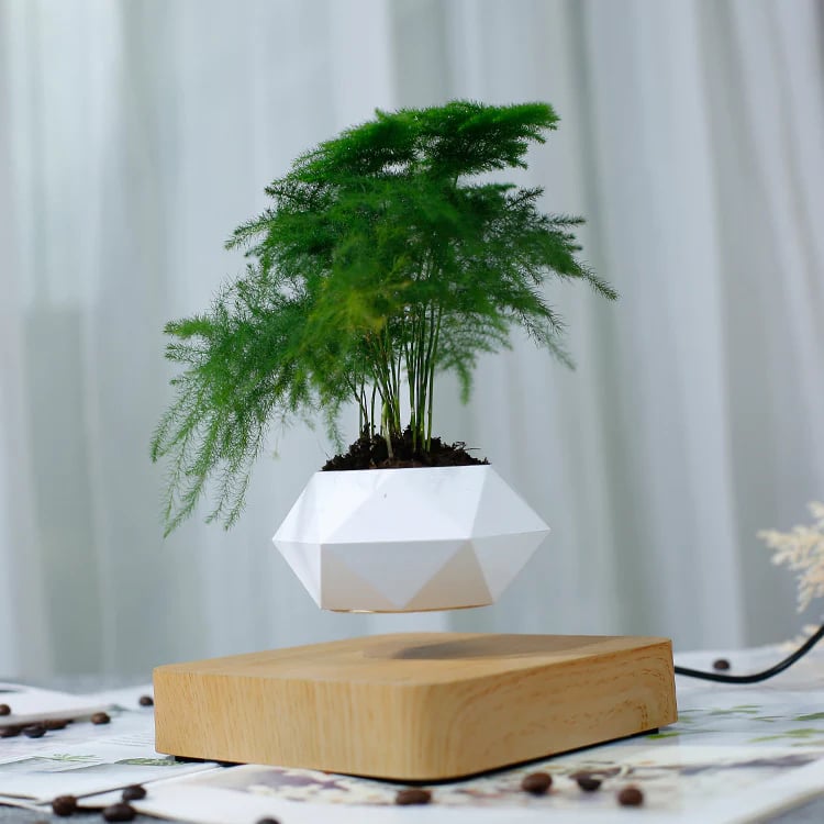 Levitating Bonsai | Overware