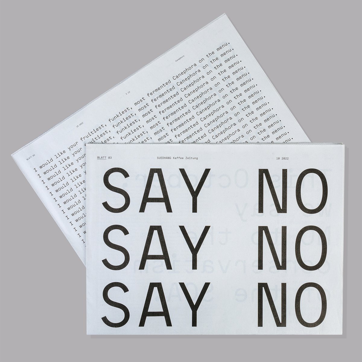 SuedHang Blatt 03 | L'imagerie