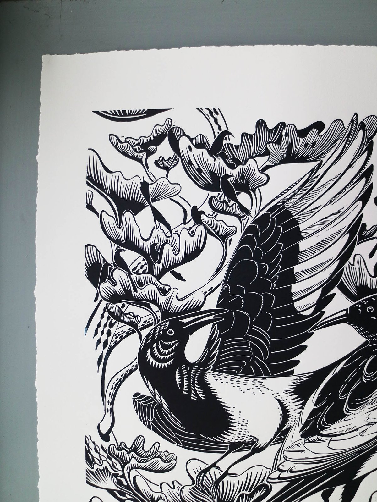 Magpies! - Linocut Print | natasharussell
