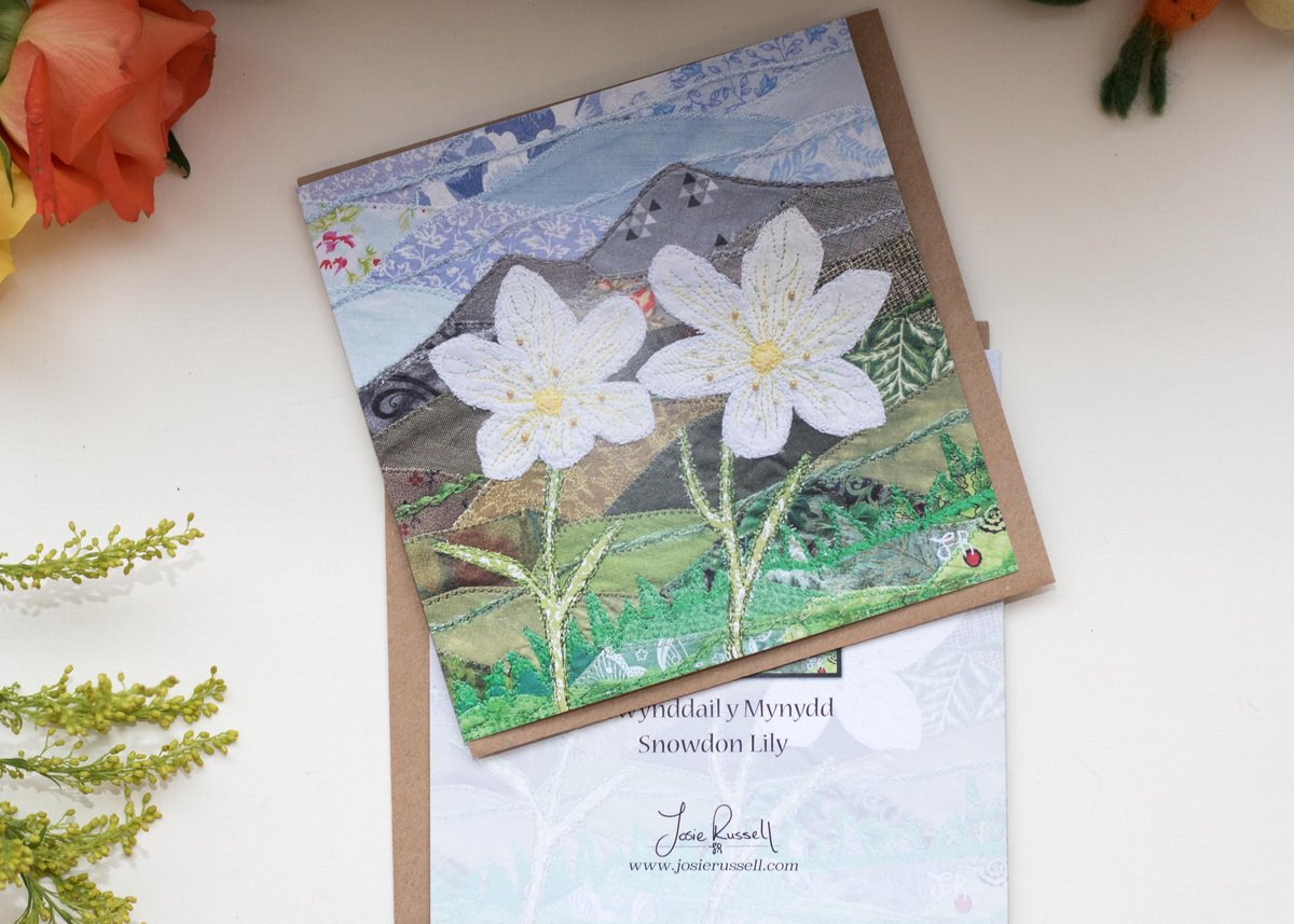 Snowdon Lily Card | Josie Russell