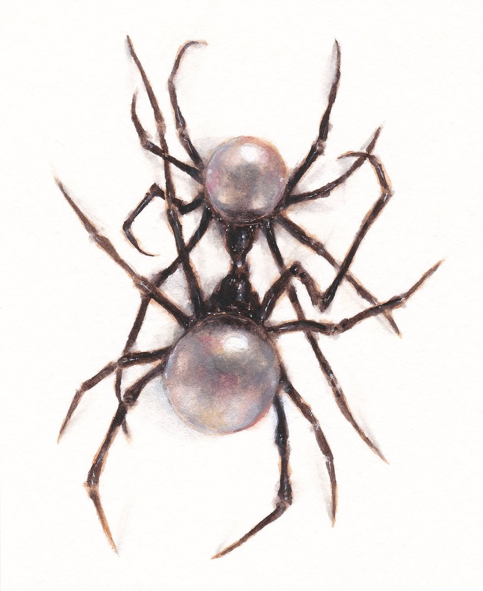 venatrix (5x7, 8x10 inches) fine art print | Dusty Ray Paints