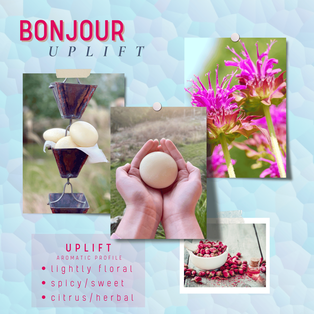 BONJOUR SKIN GEM | BotanicalBijou