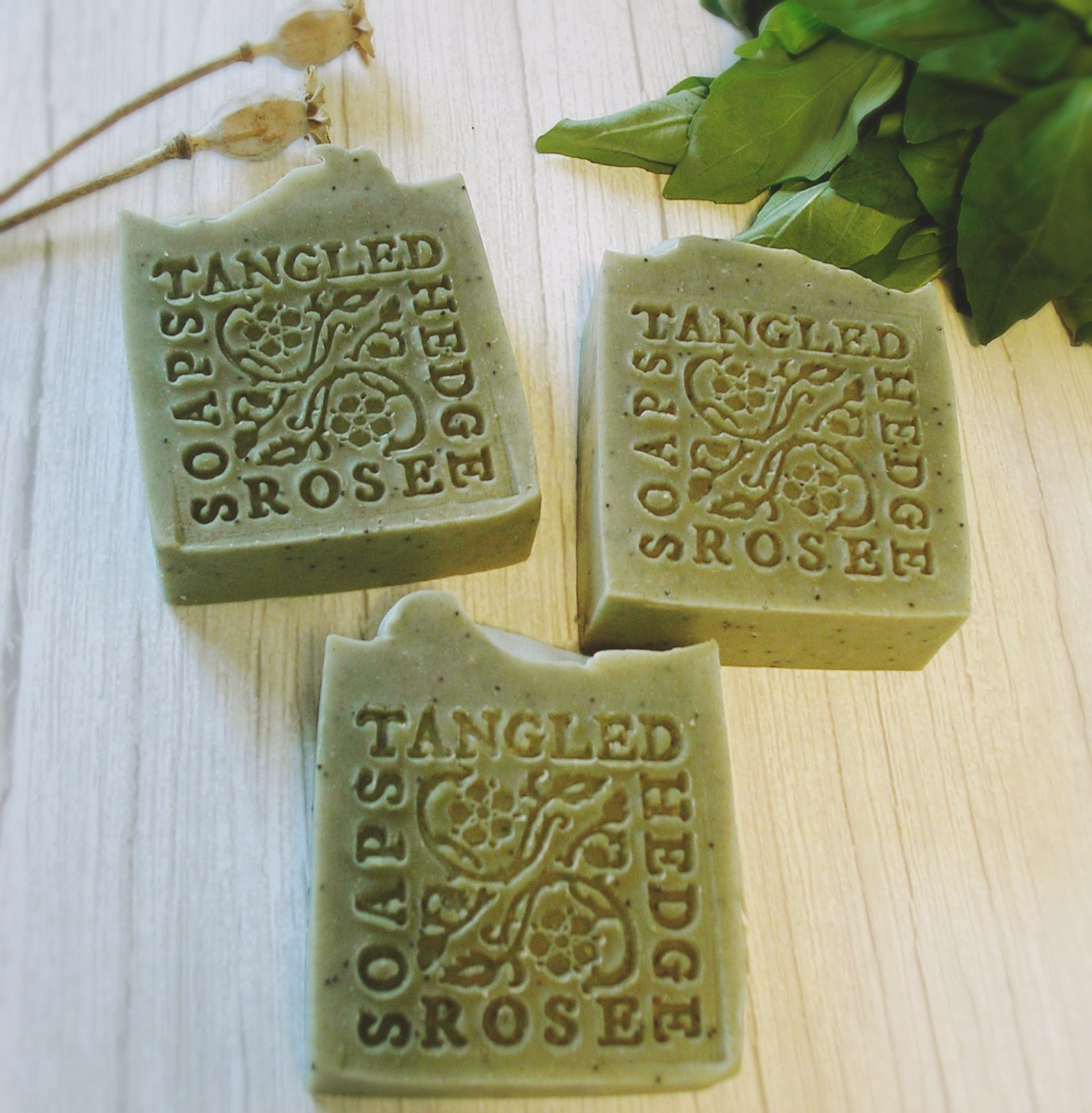 Products | Tangled Hedge Rose