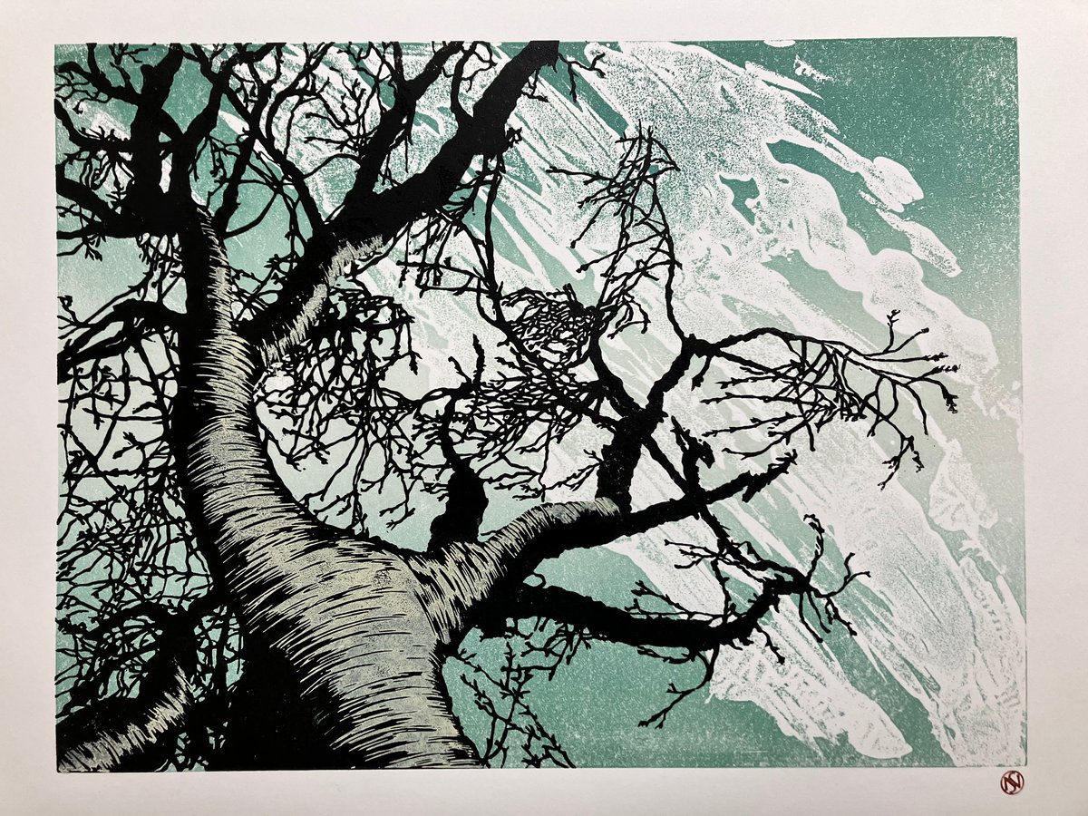 Before Blossom | Susan Noble: Artist/Printmaker
