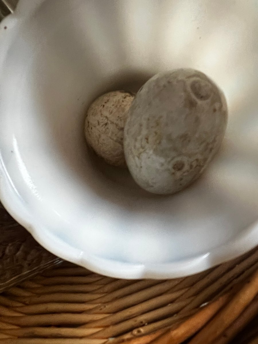 Victorian Broody Egg | sweetstumblings