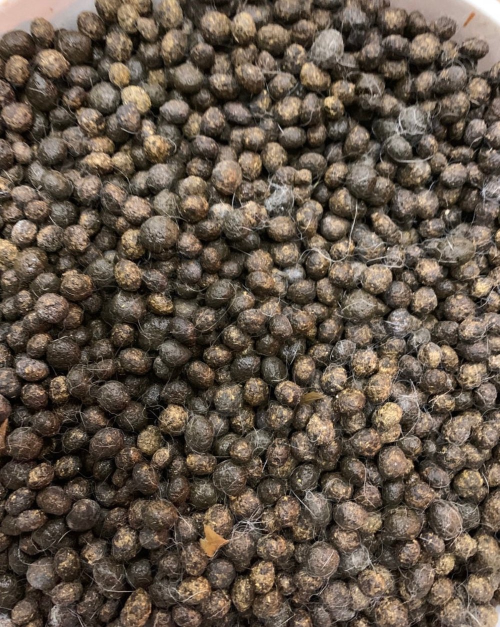 2 Week Backorder Filtered Organic Rabbit Manure Fertilizer Poop 2-week-backorder-filtered-organic-rabbit-manure-fertilizer-poop
