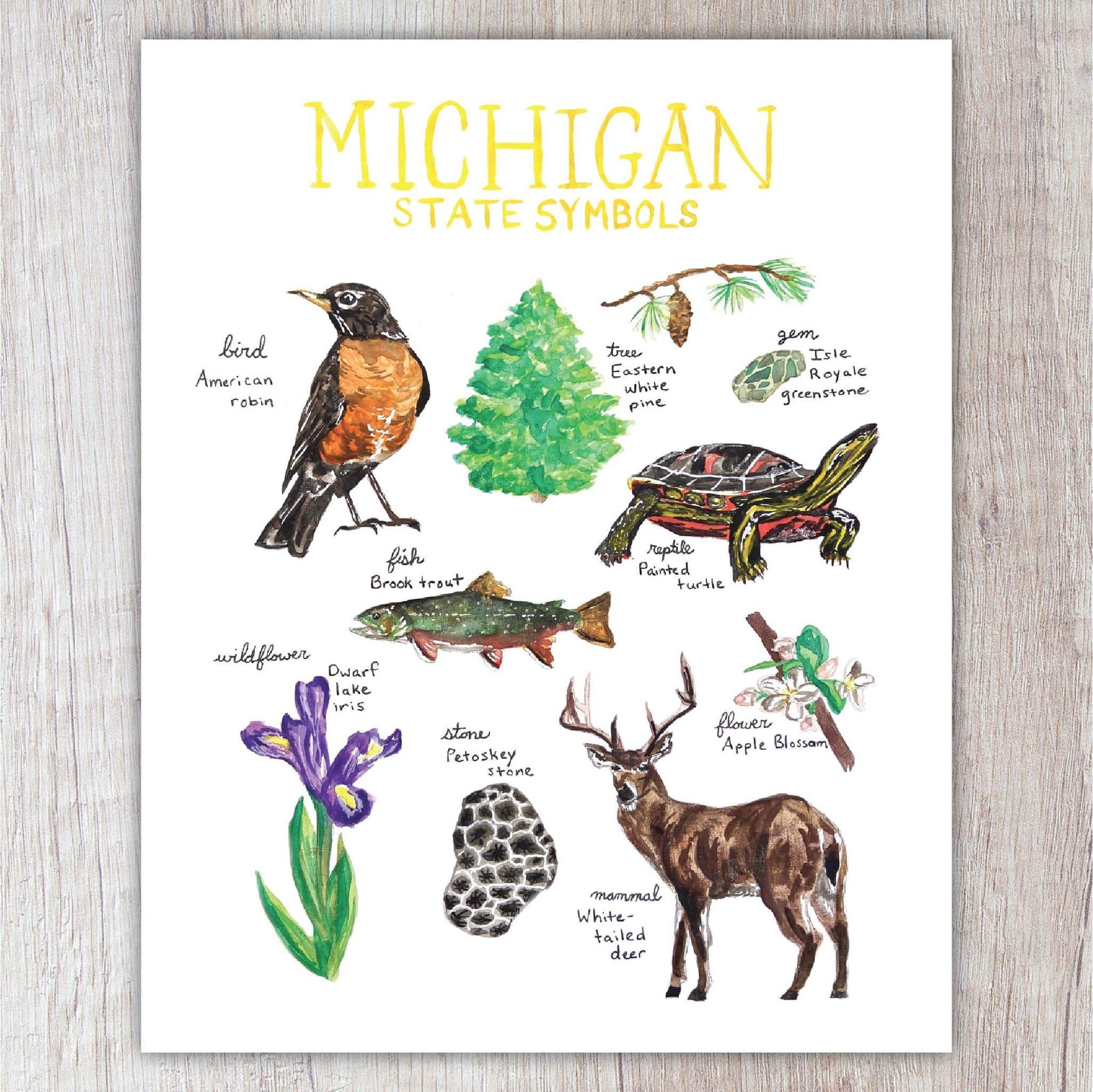 Michigan State Symbols | Brush & Bark