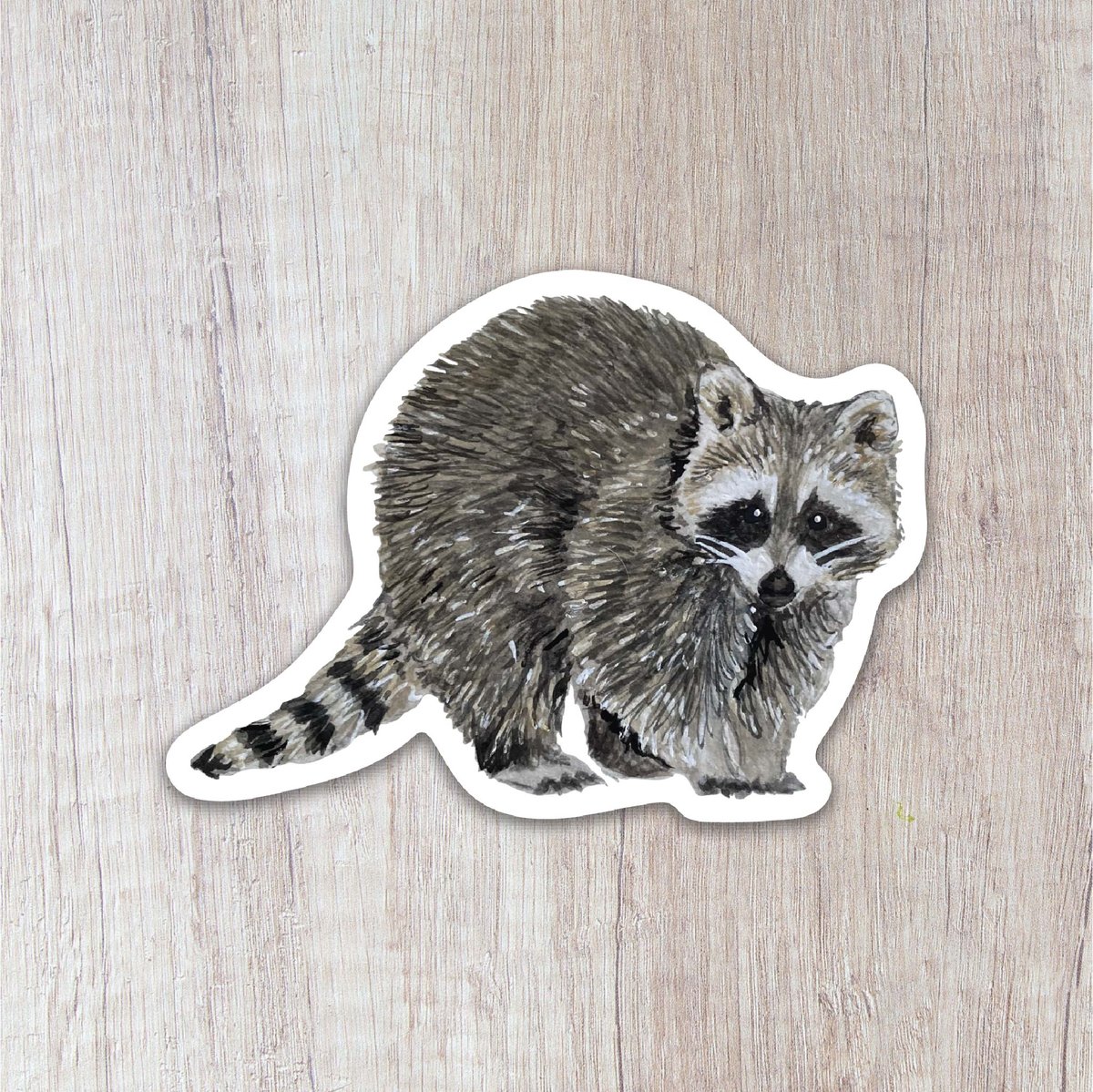 Raccoon Sticker | Brush & Bark